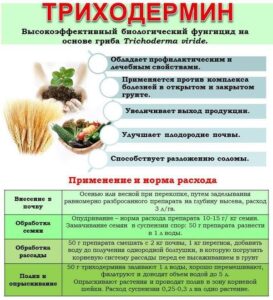 Триходермин - инструкция по применению для растений и отзывы ...