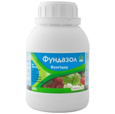 Туи весной: когда и как посадить, чем обработать, уход за туями после зимы